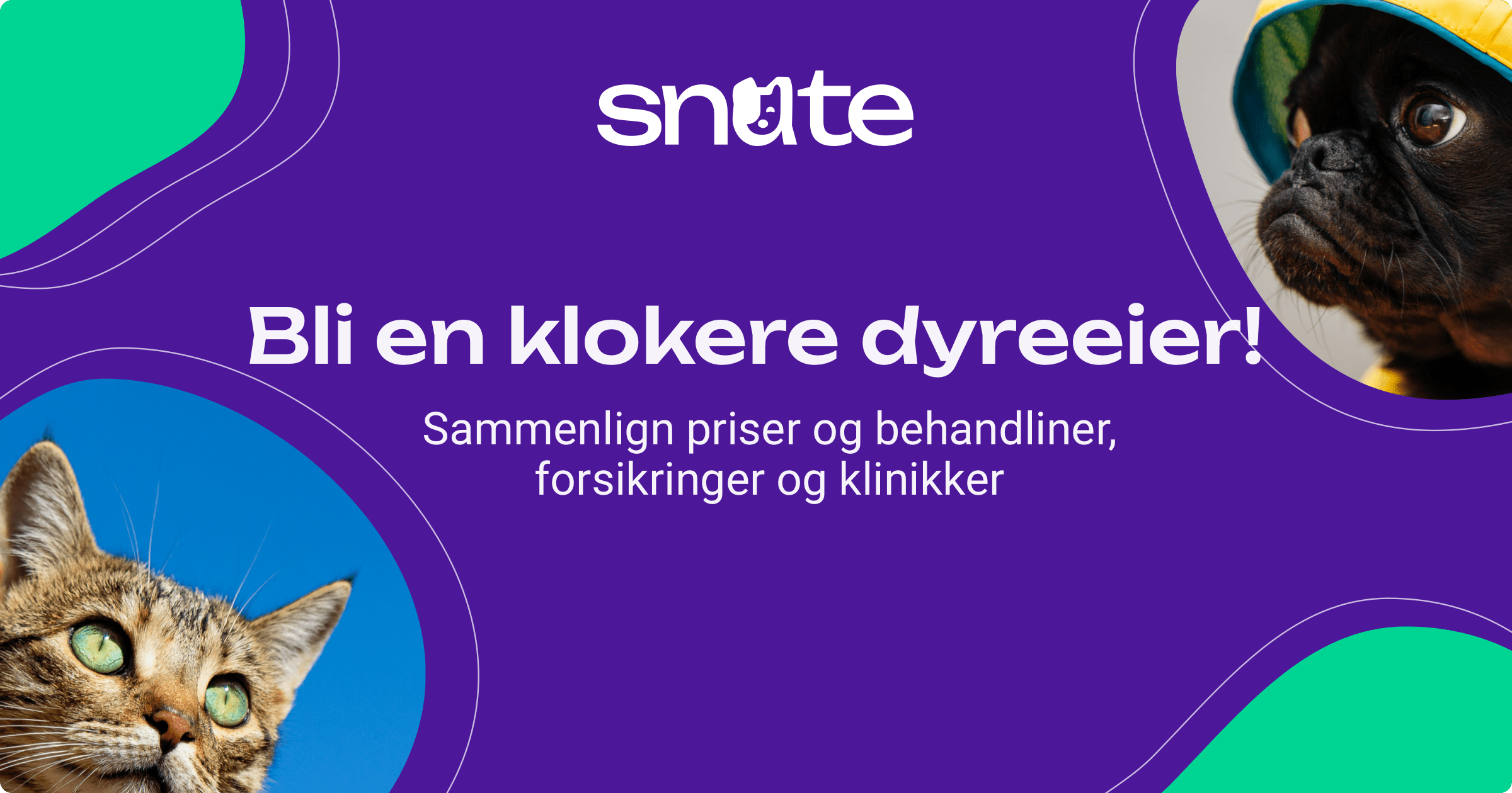 Snute.io – Alt for kjæledyr på ett sted